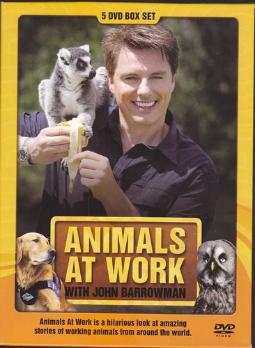 Animals At Work With John Barrowman [DVD] [2010]: Amazon.co.uk: DVD ...