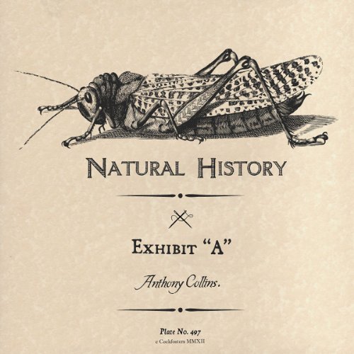 Play Exhibit by Anthony Collins on Amazon Music