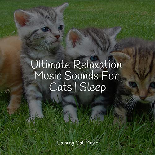 Ultimate Relaxation Music Sounds For Cats | Sleep by Music for Relaxing ...
