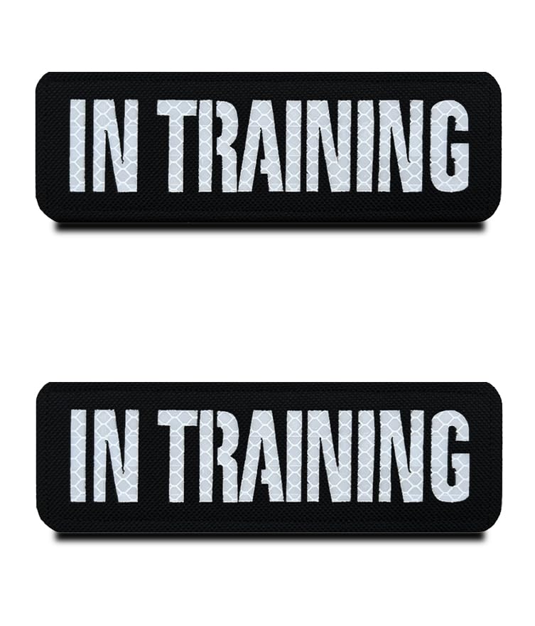 Amazon.com: 2 Pcs Infrared IR Reflective Dog Patch Removable in ...