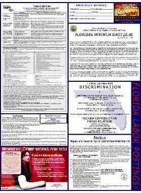 Amazon.com: Florida State Labor Law Poster : Office Products