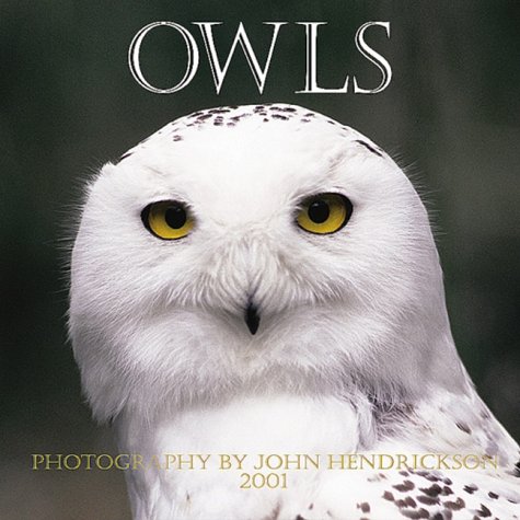 Owls 2001 Calendar: Brown Trout Publishers: 9780763128562: Amazon.com ...