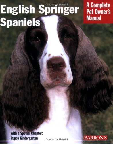 English Springer Spaniels: Everything About History, Care, Feeding ...