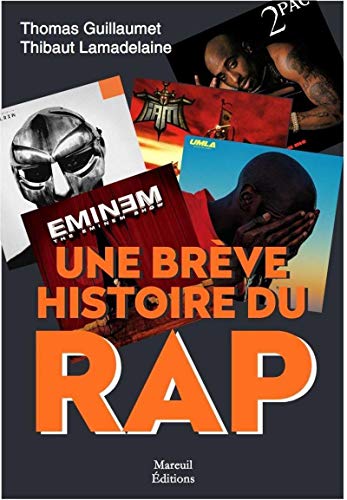 Télécharger Une brève histoire du rap PDF EPUB eBook ~ Édith Le Lacombe