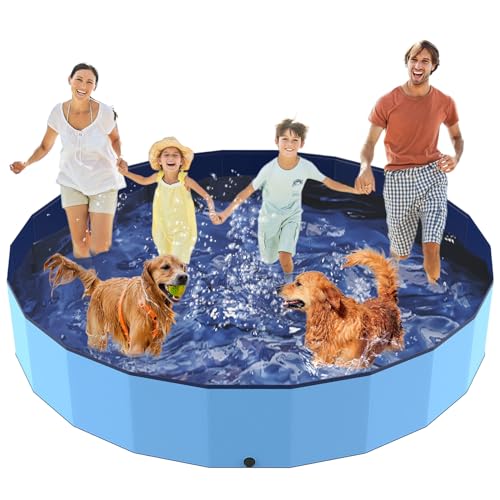 Find The Best Inflatable Pool For Dogs Reviews & Comparison - Katynel