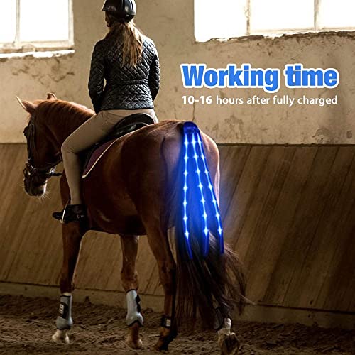 The 30 Best Horse Driving Equipment of 2024 [Verified] - Cherry Picks