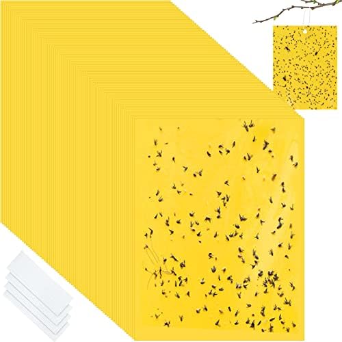 Amazon.com : Yellow Sticky Aphid Whitefly Trap Pack of 15 : Insect ...