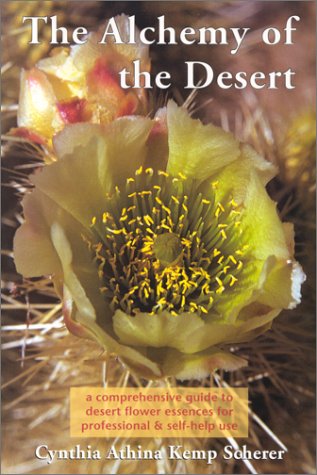 The Alchemy of the Desert: A Comprehensive Guide to Desert Flower ...