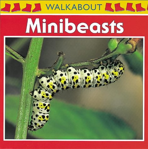 Minibeasts (Walkabout) : Pluckrose, Henry: Amazon.co.uk: Books