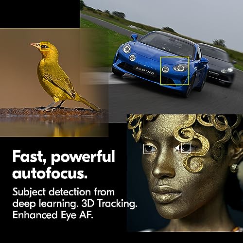 Best Cameras for Focus Stacking: Top 7 Picks (in 2024)