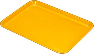 Amazon.com | PATIKIL 13x10 Fast Food Tray, Plastic Reusable Recyclable ...