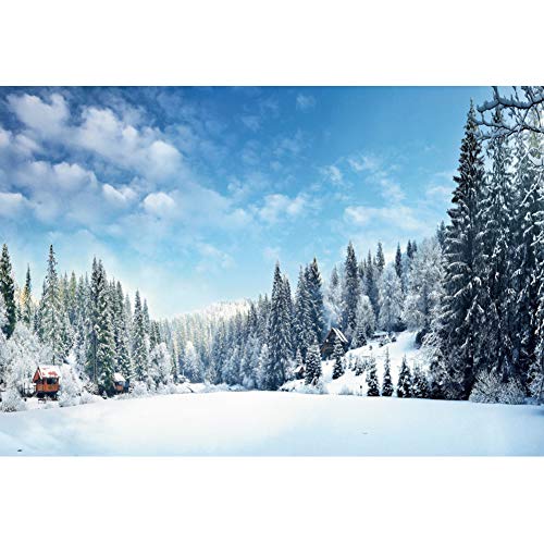 Renaiss 10x8ft Winter Scene Backdrop Snow Wonderland Pine Tree Forest Photography Background ...