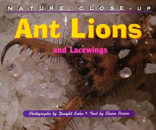 Nature Close-Up - Ant Lions and Lacewings: Elaine Pascoe: 9781410303103 ...