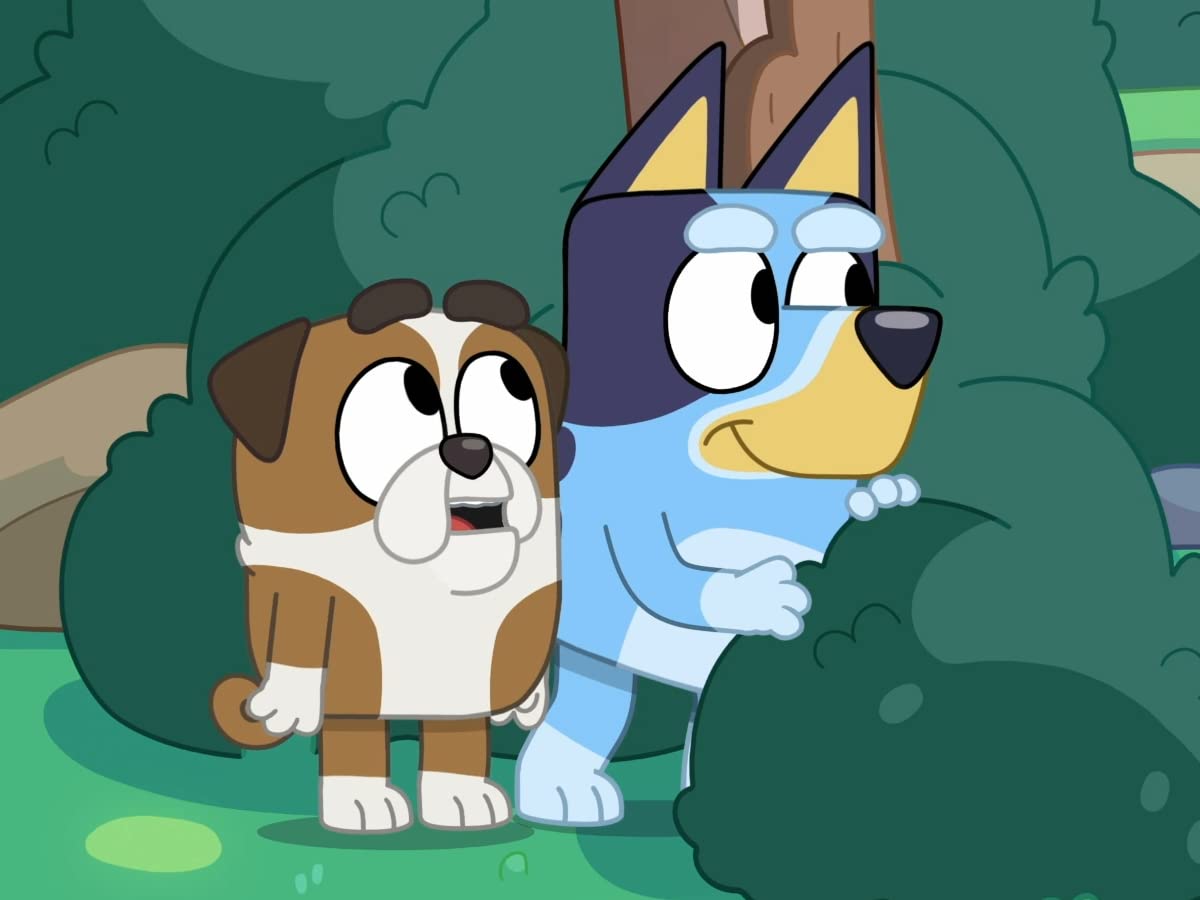 Watch Bluey: Baby Race and Other Stories | Prime Video