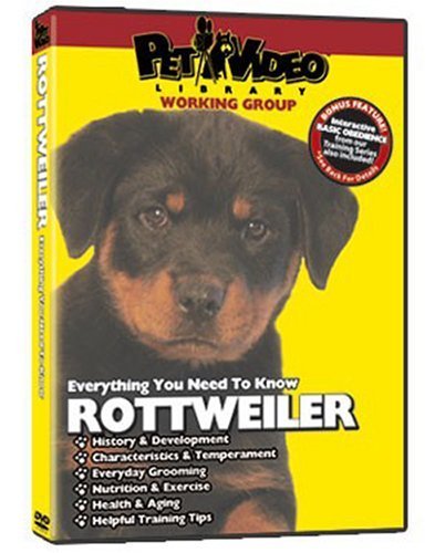 Amazon.com: ROTTWEILER DVD! Everything You Should Know + Dog & Puppy ...