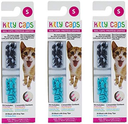 Amazon.com : Kitty Caps Nail Caps for Cats | Black with Gray Tips ...