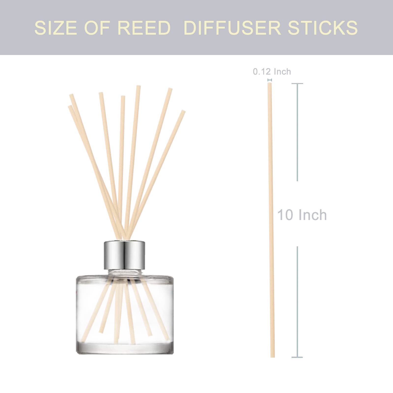 Snapklik.com : 10inch Reed Diffuser Sticks- 100PCS Natural Rattan Wood ...