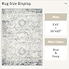 Amazon.com: Soalmost 3x5 Rug, Small Area Rug for Kitchen, Entryway ...