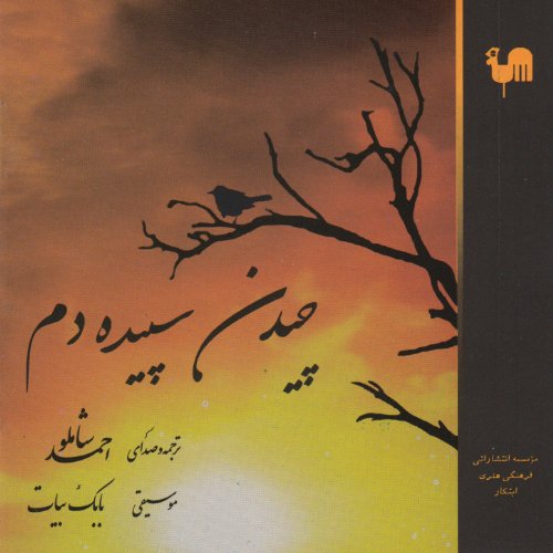 Play Chidan-E Sepideh Dam (Picking the Dawn) - Shamlu Narrates Margot ...