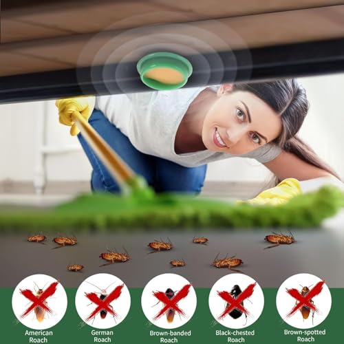 Natural Cockroach Killer for Kitchens, Bathrooms, and Cabinets ...