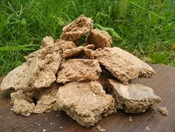 Ground Nut Cake Fertilizer|Kadalai Punnakku|Best Natural Fertilizer For ...