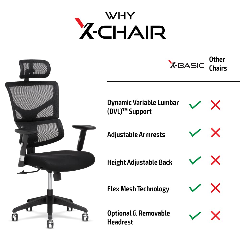 Snapklik.com : X-Basic Task Chair, Black Flex Mesh - Ergonomic Office ...