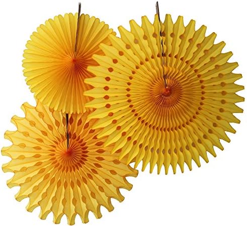 Amazon.com: Set of 3 Honeycomb Tissue Fans, Red (13-21 Inch) : Home ...