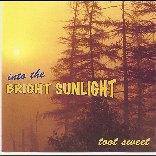 Play Into the Bright Sunlight by Toot Sweet on Amazon Music