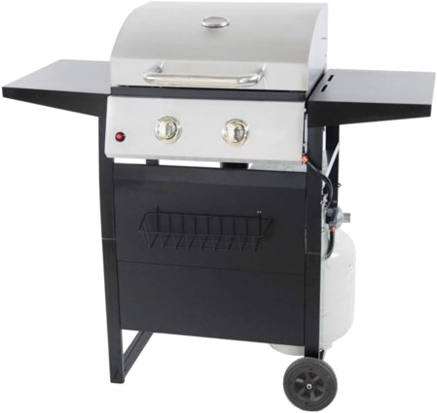 Amazon.com: RevoAce 2-Burner 24,000 BTU LP Gas Grill with Push-Button ...