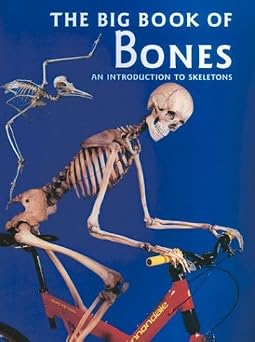 The Big Book of Bones: Llewellyn, Claire: 9780872265462: Amazon.com: Books