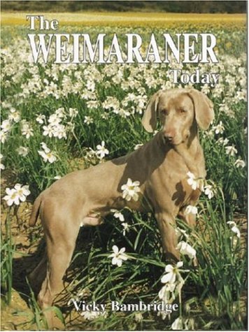 The Weimaraner Today (Book of the Breed): Bambridge, Vicky ...