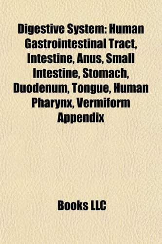 Digestive system: Human gastrointestinal tract, Intestine, Anus, Small ...