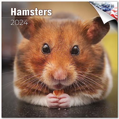Snapklik.com : 2023 2024 Hamsters Calendar - Cute Animal Monthly Wall ...