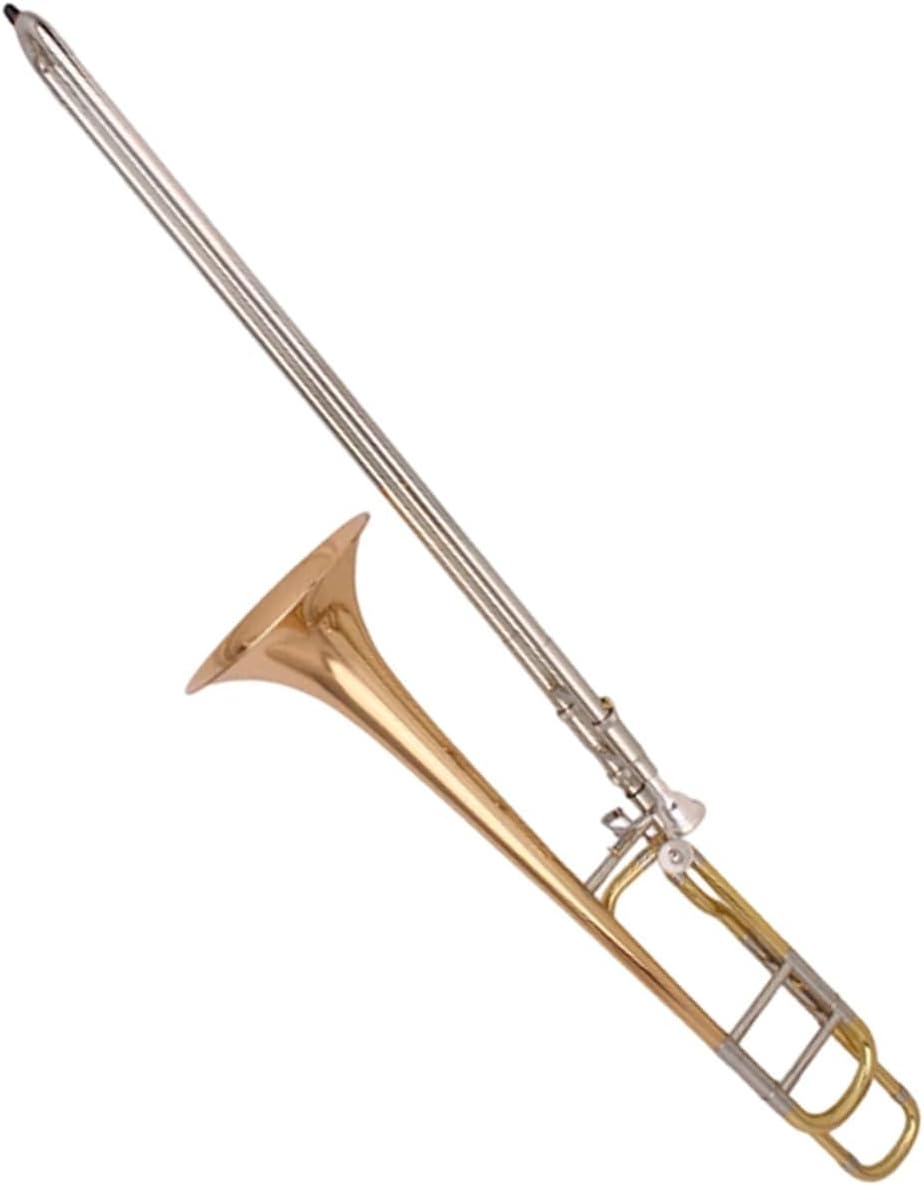 Trombone Instrument Ténor Changement De Hauteur Débutant Si Bémol Basse ...