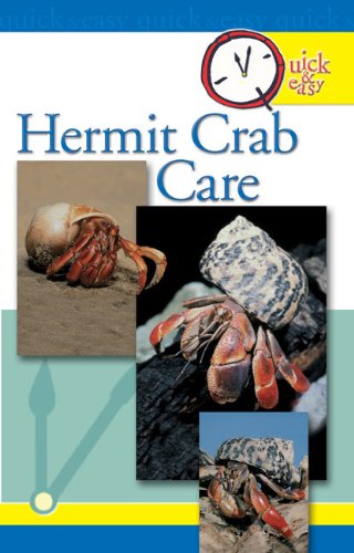 Quick & Easy Hermit Crab Care eBook : Pet Experts at TFH, The Pet ...