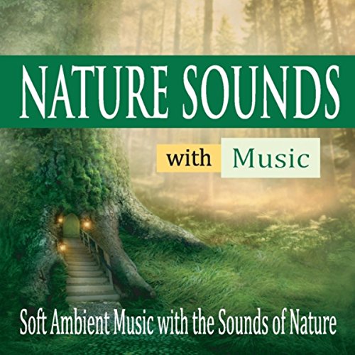 Play Nature Sounds With Music: Soft Ambient Music With the Sounds of ...