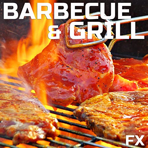 Amazon.com: Barbecue & Grill FX : Barbecue & Grill FX, Super Ambient ...