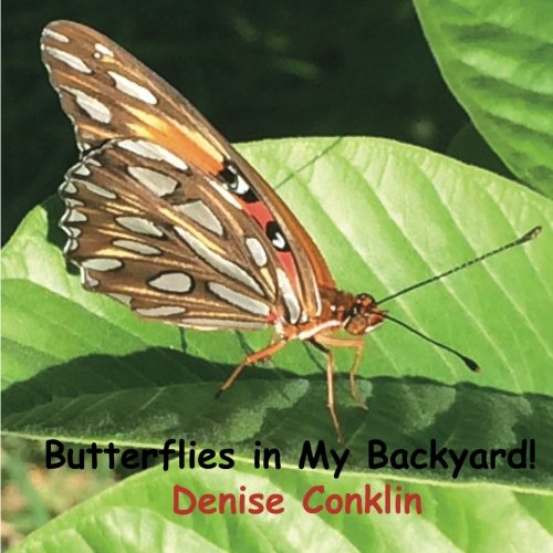 Butterflies in My Backyard!: Conklin, Denise: 9781536805024: Amazon.com ...