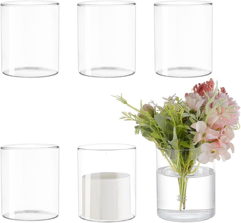Amazon.com: BENECREAT 6 Pcs Glass Cylinder Vases, 4 Inch (H) x 3.3 Inch ...