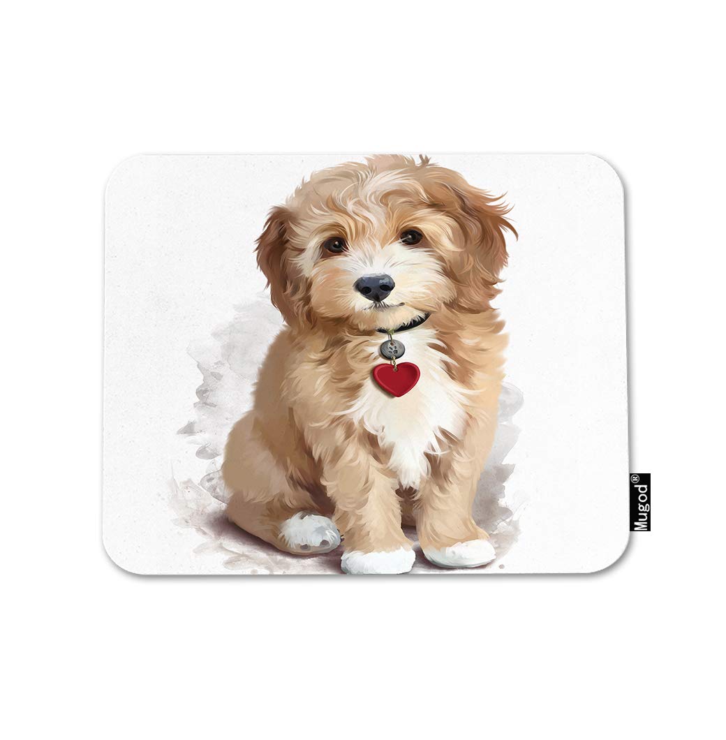 Shaggy Dog Puppies