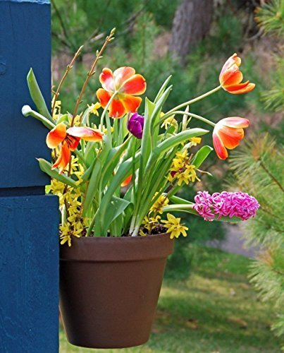 5 Pieces Flower Pot Clips Hangers Latch - Long Lasting Galvanized Steel ...