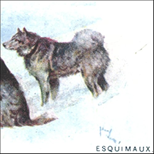 Play Esquimaux by Esquimaux on Amazon Music