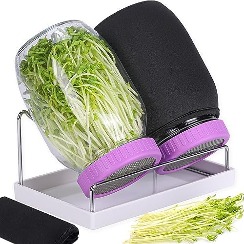 Amazon.com : Seed Sprouting Jar Kit with Wide Mouth Mason Jars, Premium ...