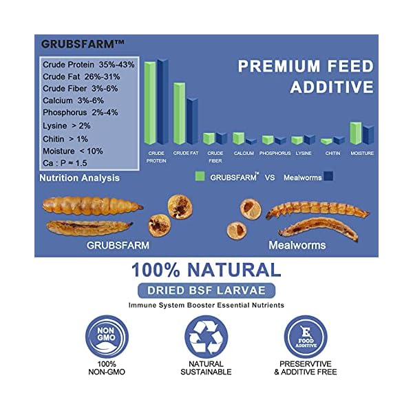 GRUBSFARM Superior to Dried Mealworms for Chickens 5lb - 85X More ...
