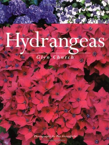 Buy Hydrangeas Book Online at Low Prices in India | Hydrangeas Reviews ...