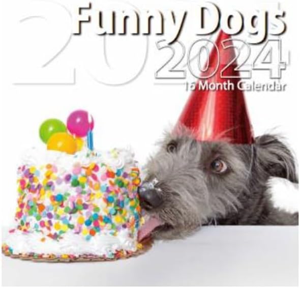 Amazon.com: 2024 Funny Dogs Full Size Wall Calendar for Planning ...