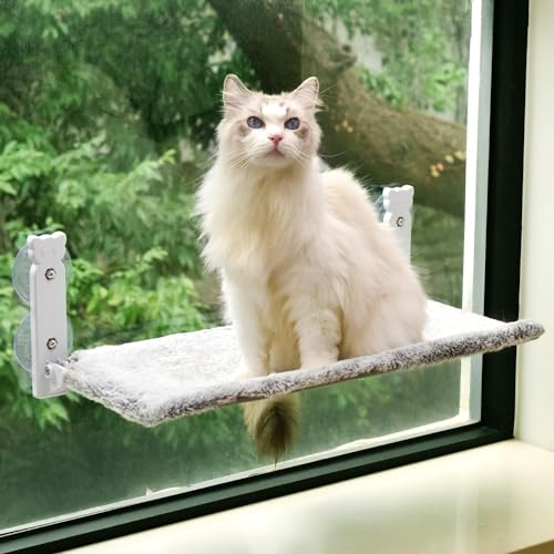 Window Cat Perch – The 15 best products compared - Wild Explained
