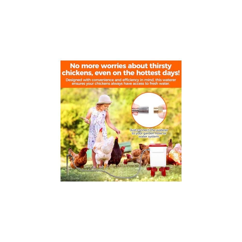 Automatic Chicken Waterer with Float-Controlled Philippines | Ubuy