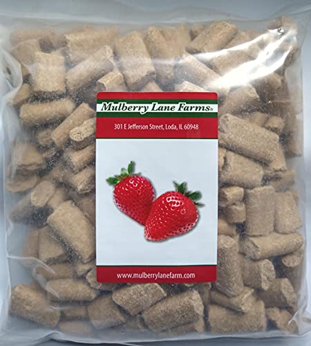 10 Best Rodent Block Products to Keep Your Home Critter-Free: Ultimate ...