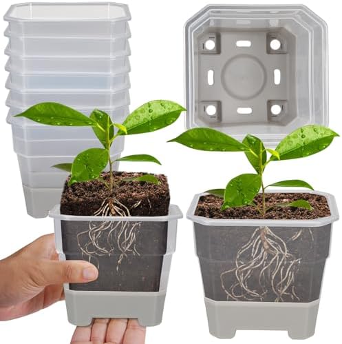 Amazon.com: RGJ 30 Packs 4 Inch Reinforced Clear Nursery Pots for ...